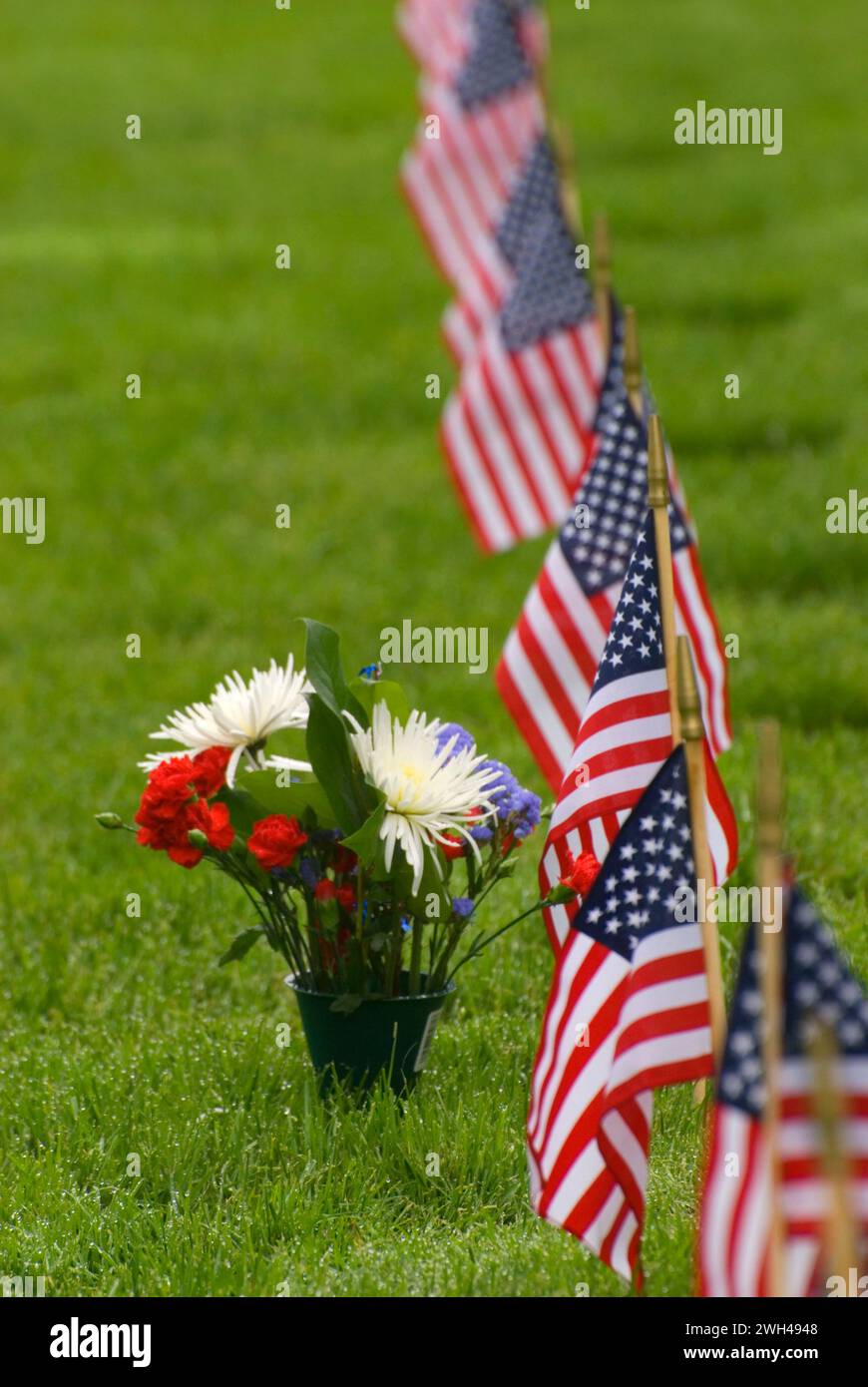 Memorial Day flags on graves, Willamette National Cemetery, Portland ...