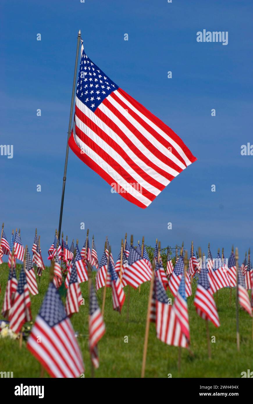 Memorial Day flags on graves, Willamette National Cemetery, Portland ...