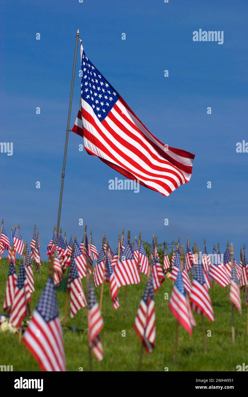 Memorial Day flags on graves, Willamette National Cemetery, Portland ...
