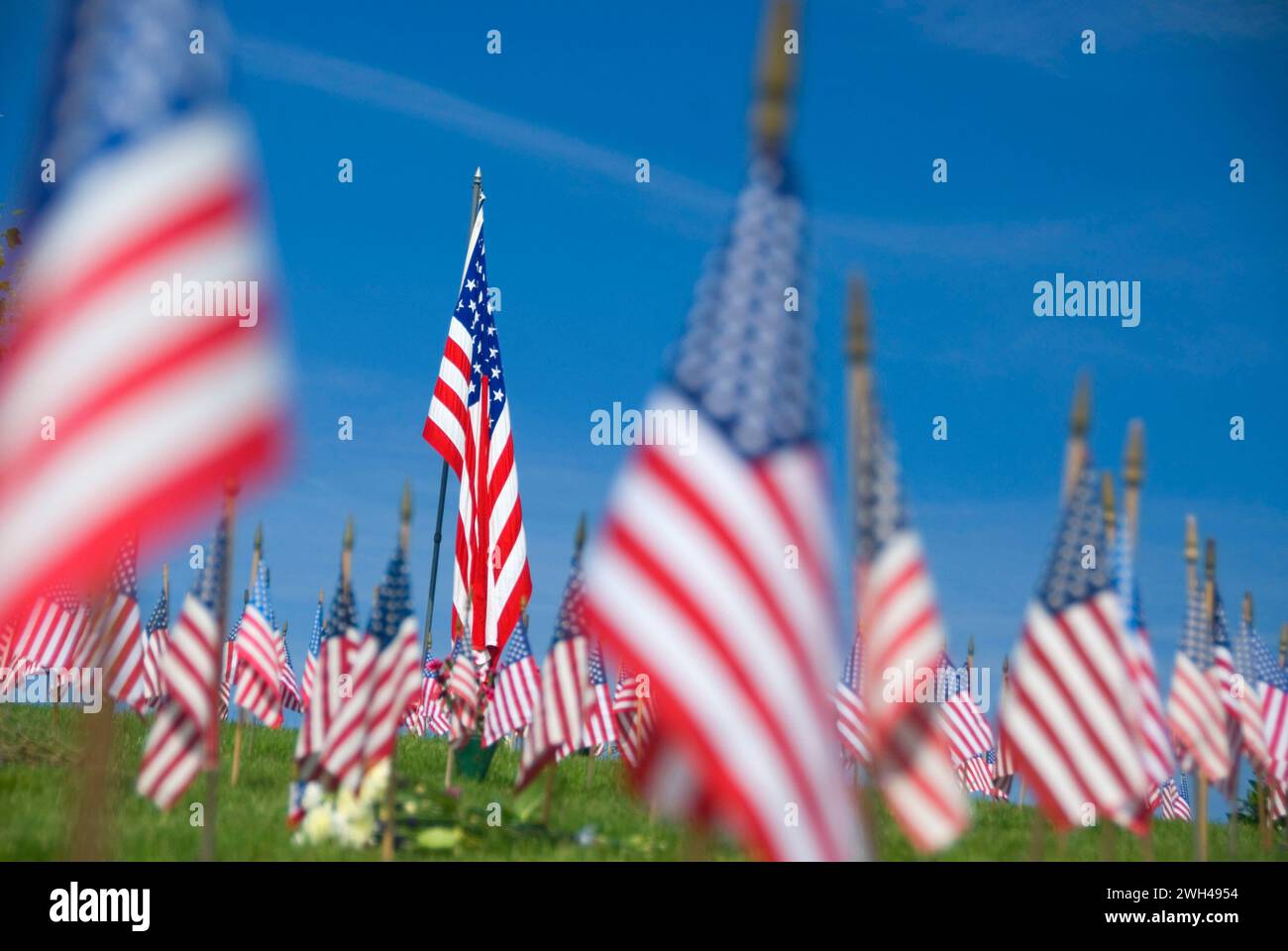 Memorial Day flags on graves, Willamette National Cemetery, Portland ...