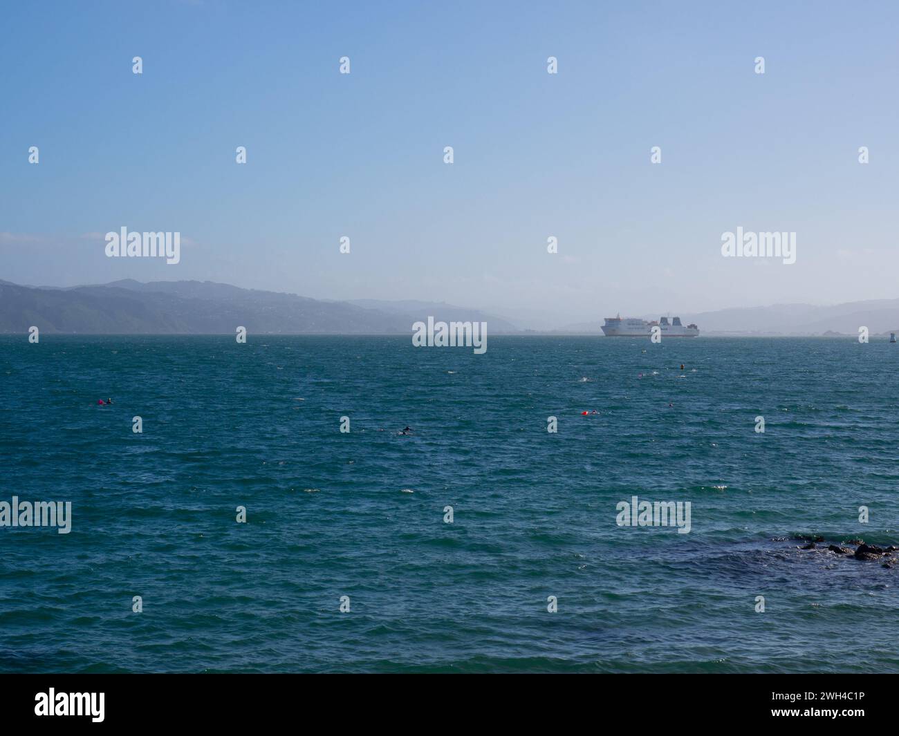 Interislander Ferry Out On Wellington Harbour Stock Photo - Alamy