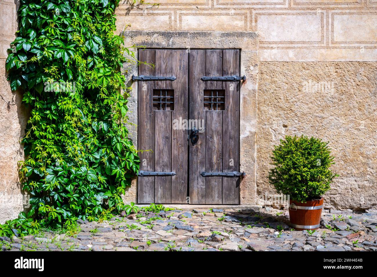 Small vintage wooden castle door Stock Photo - Alamy