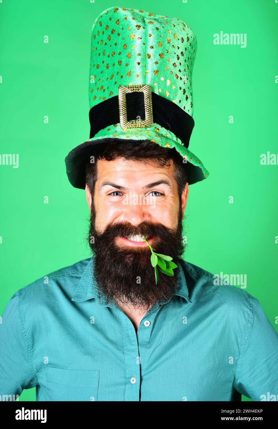 Patrick's day celebration. Closeup portrait of bearded man in green top ...