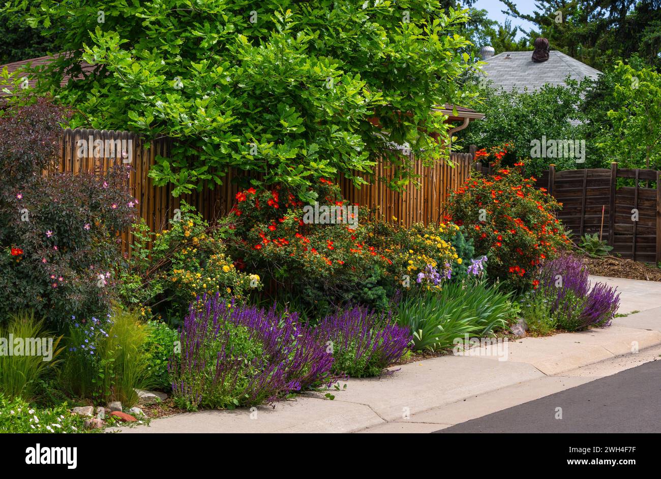 A beautiful mix of freshly blooming colorful flowers growing in a ...