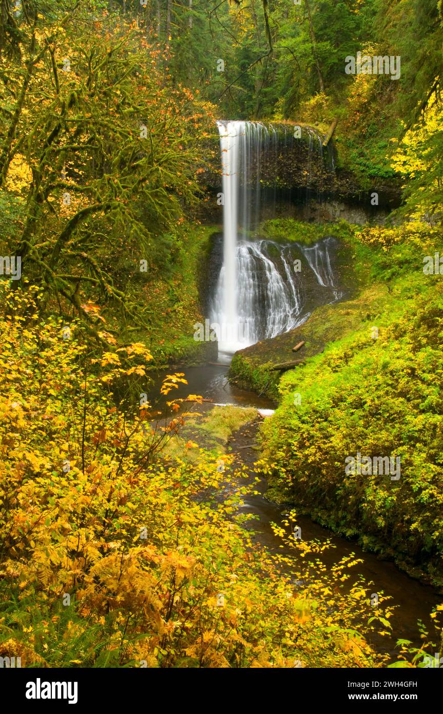 Middle North Falls, Silver Falls State Park, Oregon Stock Photo - Alamy