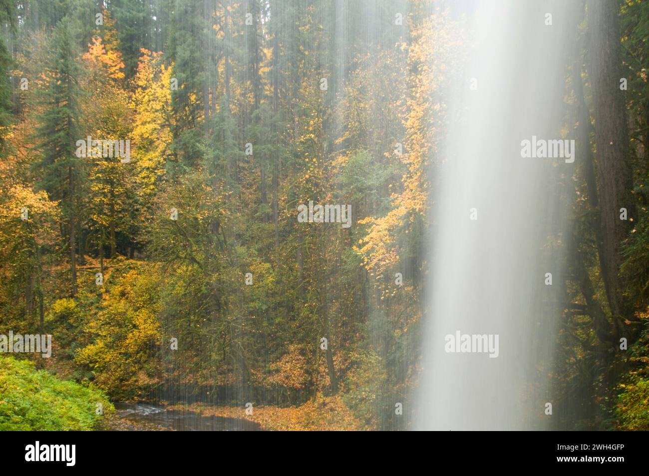 Creek in middle park hi-res stock photography and images - Alamy