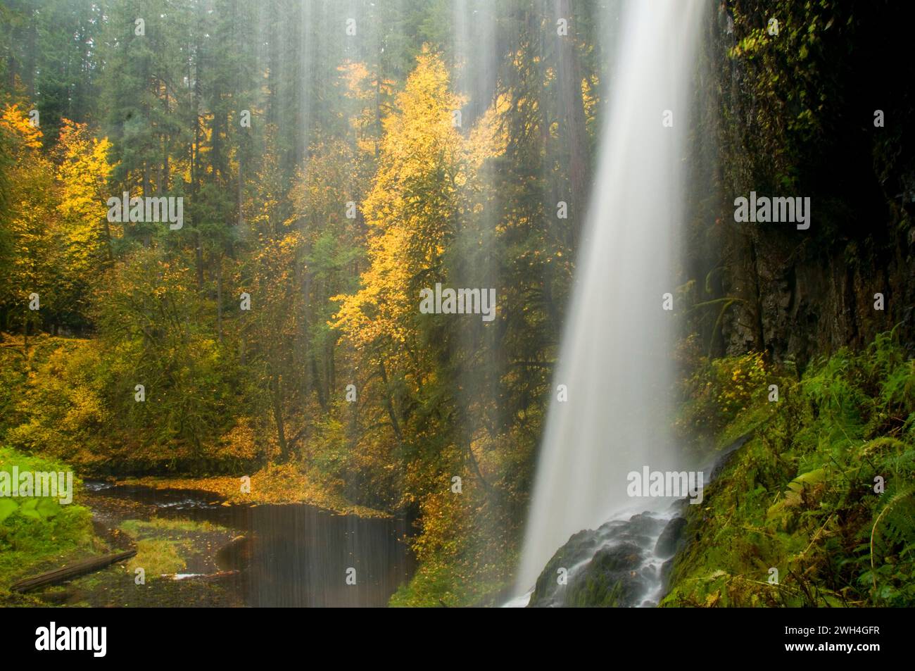 Middle North Falls, Silver Falls State Park, Oregon Stock Photo - Alamy