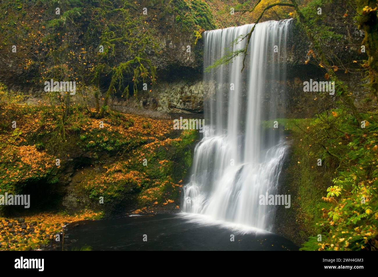 Lower South Falls, Silver Falls State Park, Oregon Stock Photo - Alamy