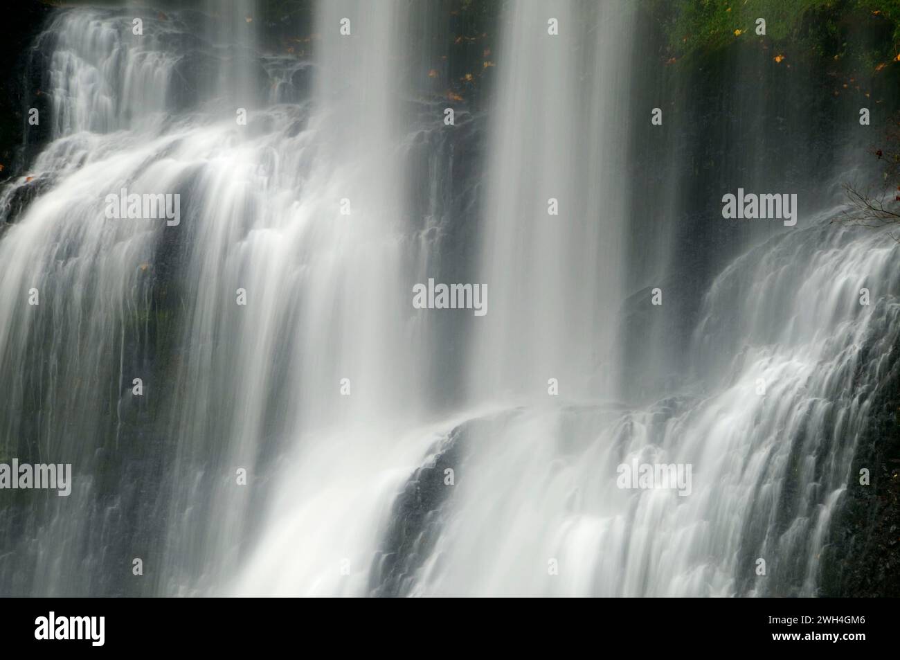 Lower South Falls, Silver Falls State Park, Oregon Stock Photo - Alamy