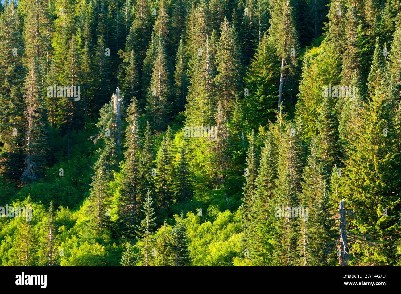 Slope cascade hi-res stock photography and images - Alamy