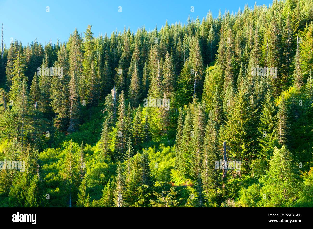 Slope cascade hi-res stock photography and images - Alamy