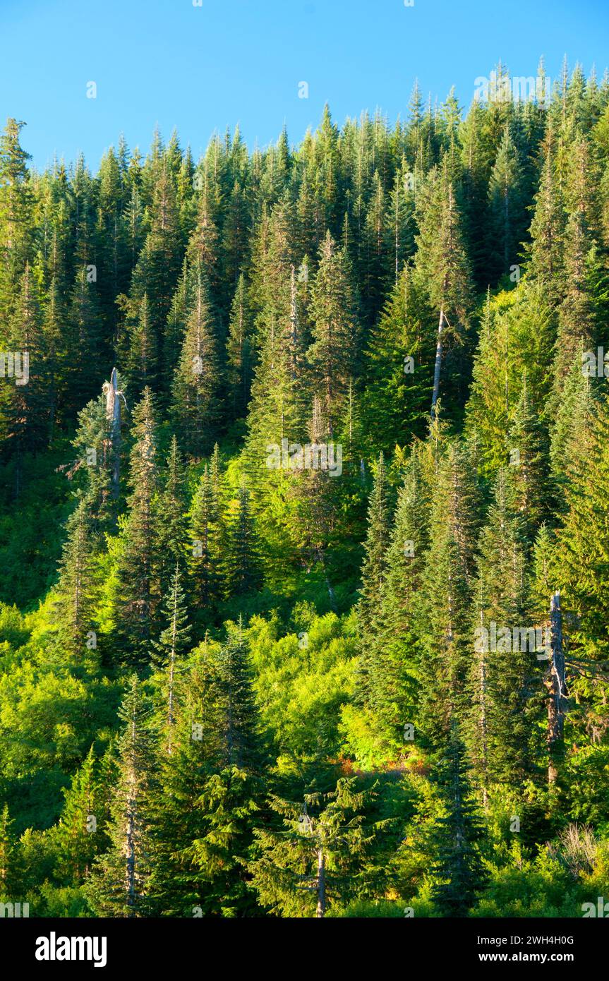 Slope cascade hi-res stock photography and images - Alamy