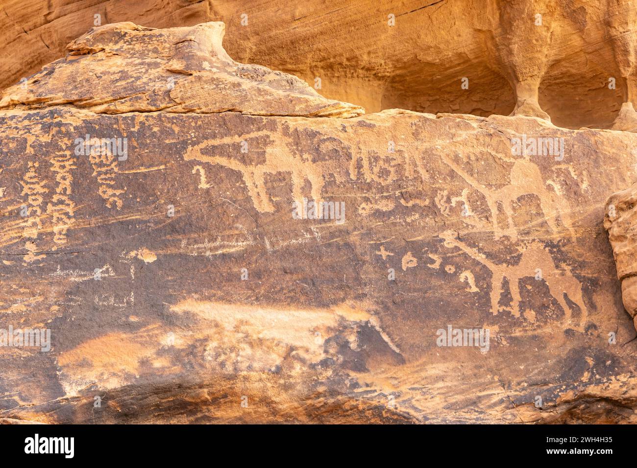 Middle East, Saudi Arabia, Hail Province, Jubbah. Ancient petroglyph of ...