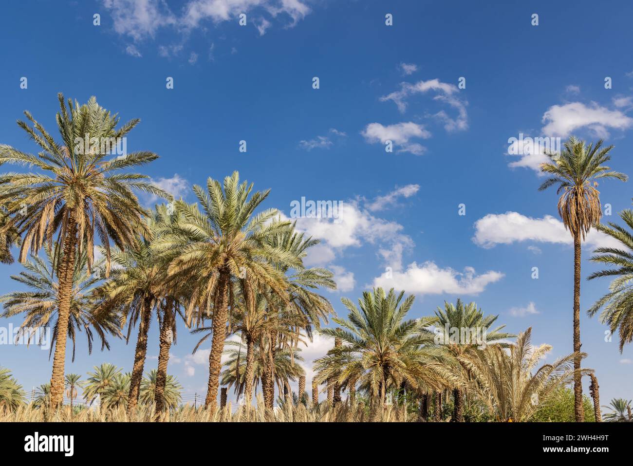Exterior tema hi-res stock photography and images - Alamy