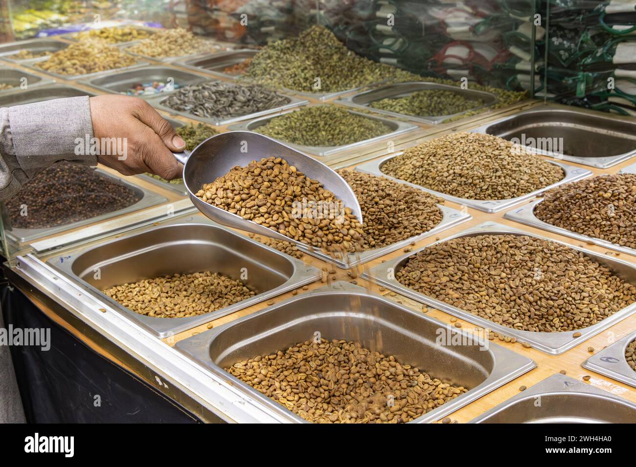 Middle East, Saudi Arabia, Tabuk Province, Tayma. Dried coffee beans at ...