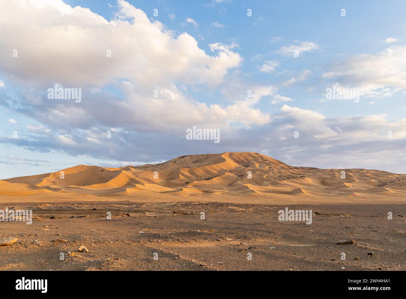 Middle East, Saudi Arabia, Tabuk Province, Tayma. Sand dunes in the ...