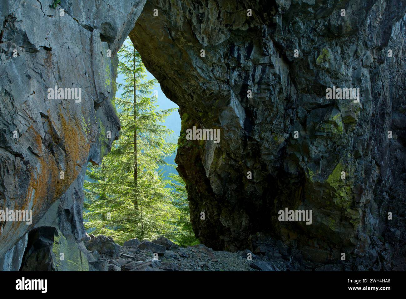 Natural arch along Natural Rock Arch Trail, Santiam State Forest ...