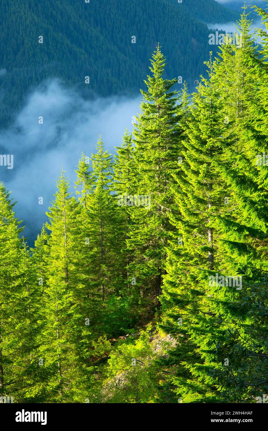 Arch rock trail hi-res stock photography and images - Alamy