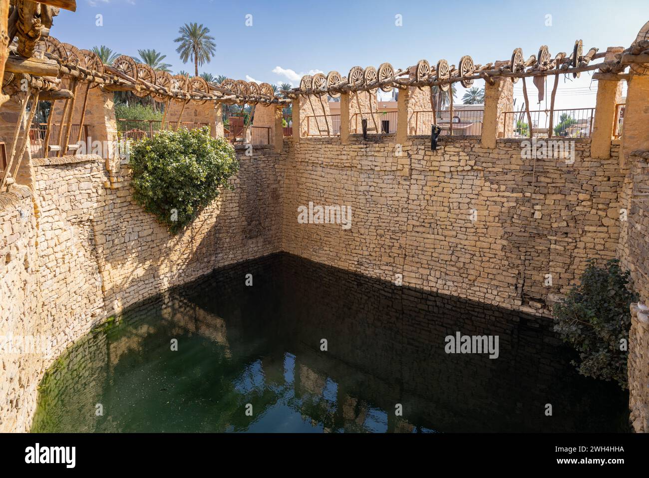 Middle East, Saudi Arabia, Tabuk Province, Tayma. A pool of water at a ...