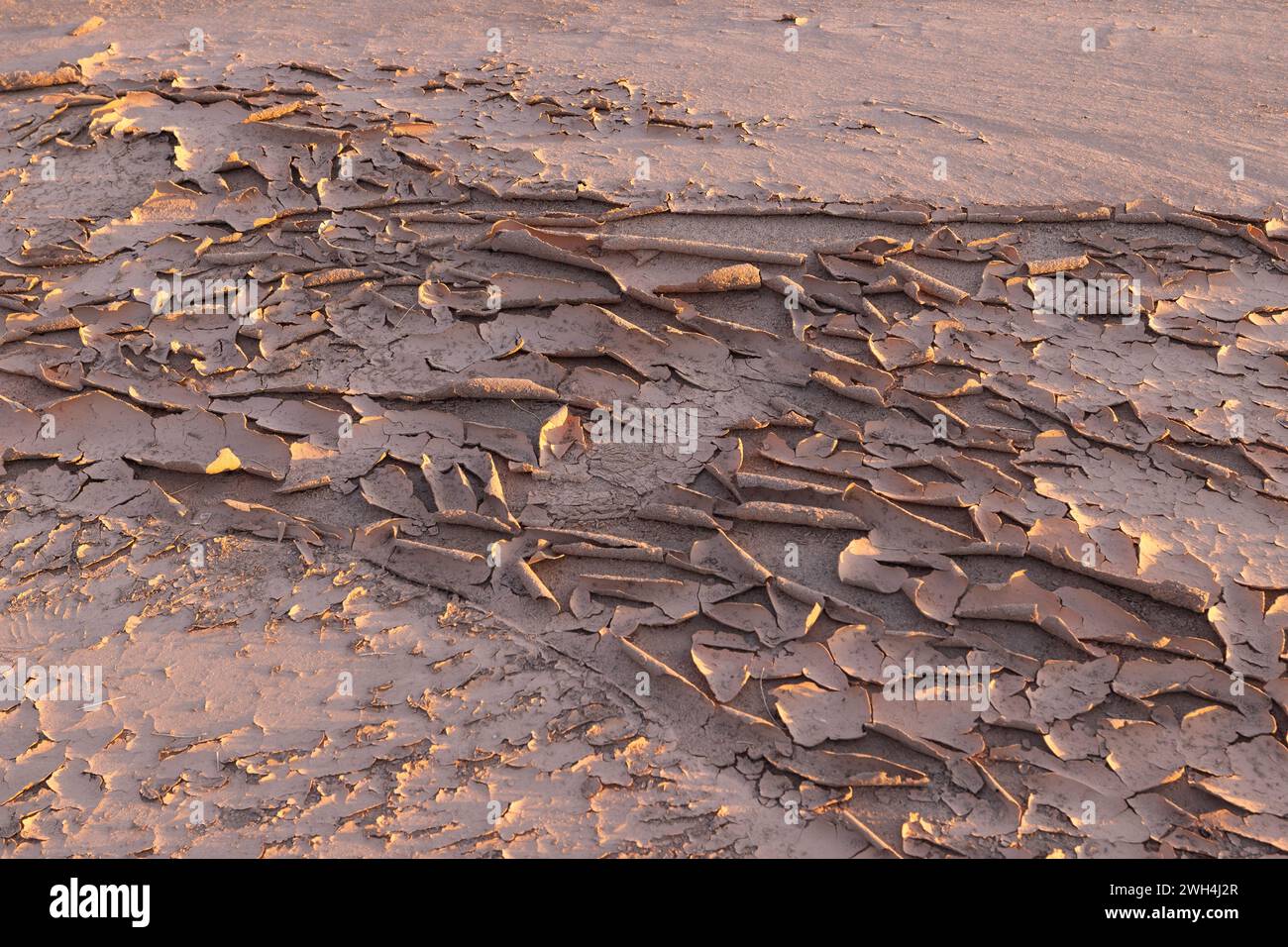 Middle East, Saudi Arabia, Tabuk, Al-Disah. Desert landscape in the ...