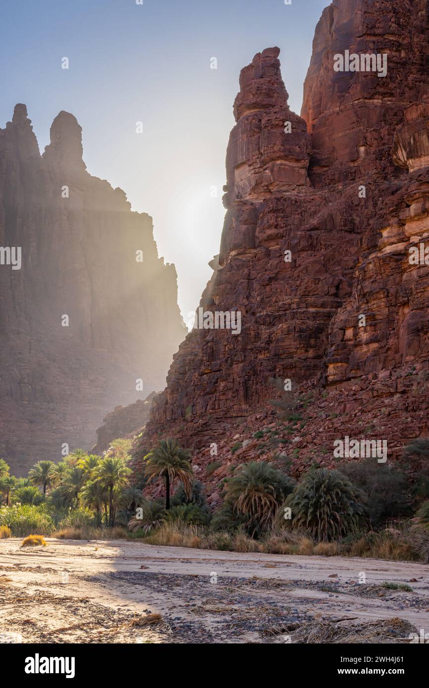 Middle East, Saudi Arabia,Tabuk, Wadi Al-Disha, Prince Mohammed bin ...