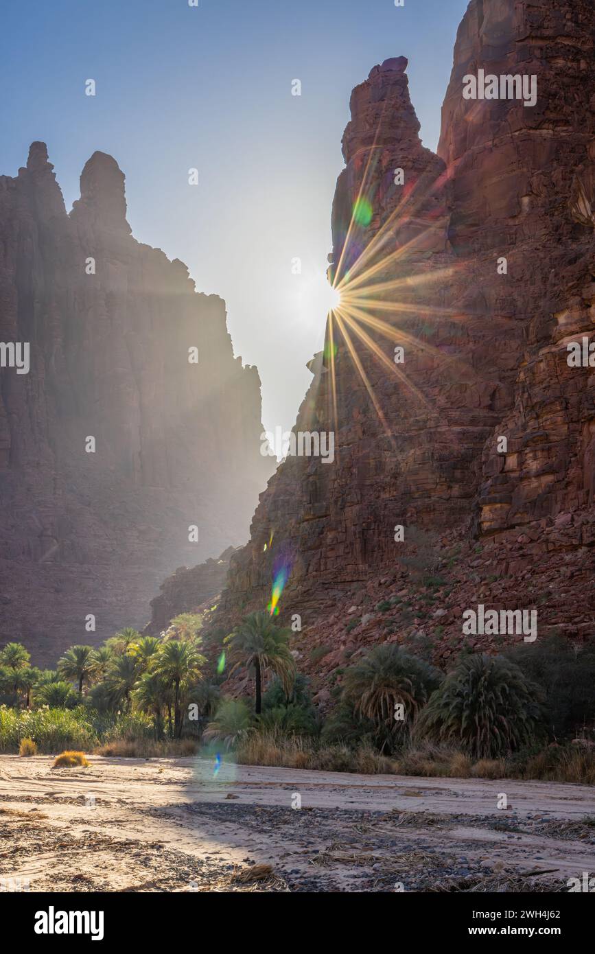 Middle East, Saudi Arabia,Tabuk, Wadi Al-Disha, Prince Mohammed bin ...