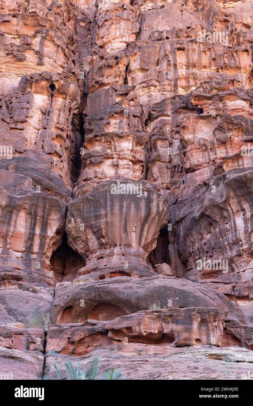 Middle East, Saudi Arabia,Tabuk, Wadi Al-Disha, Prince Mohammed bin ...