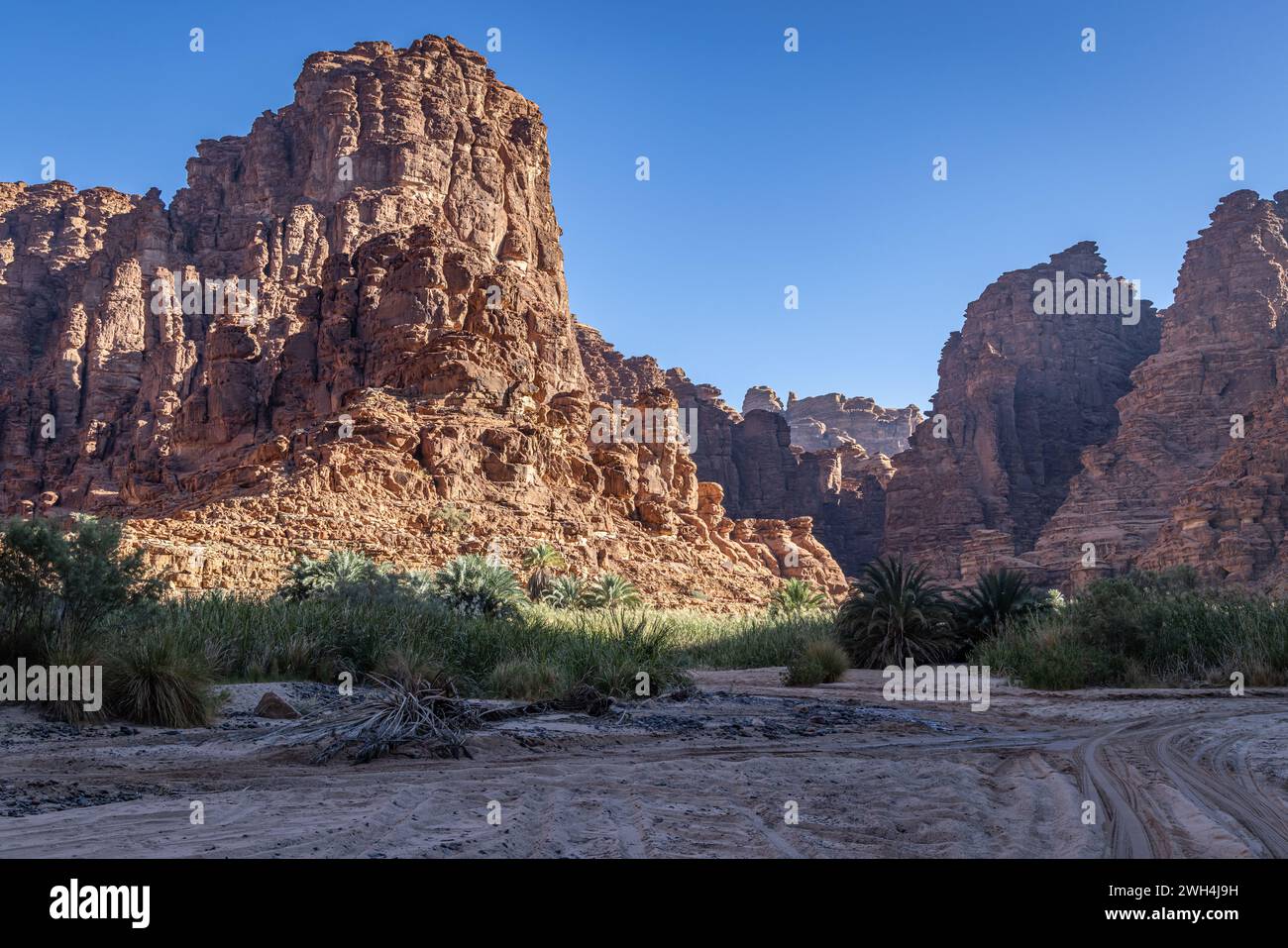 Middle East, Saudi Arabia,Tabuk, Wadi Al-Disha, Prince Mohammed bin ...