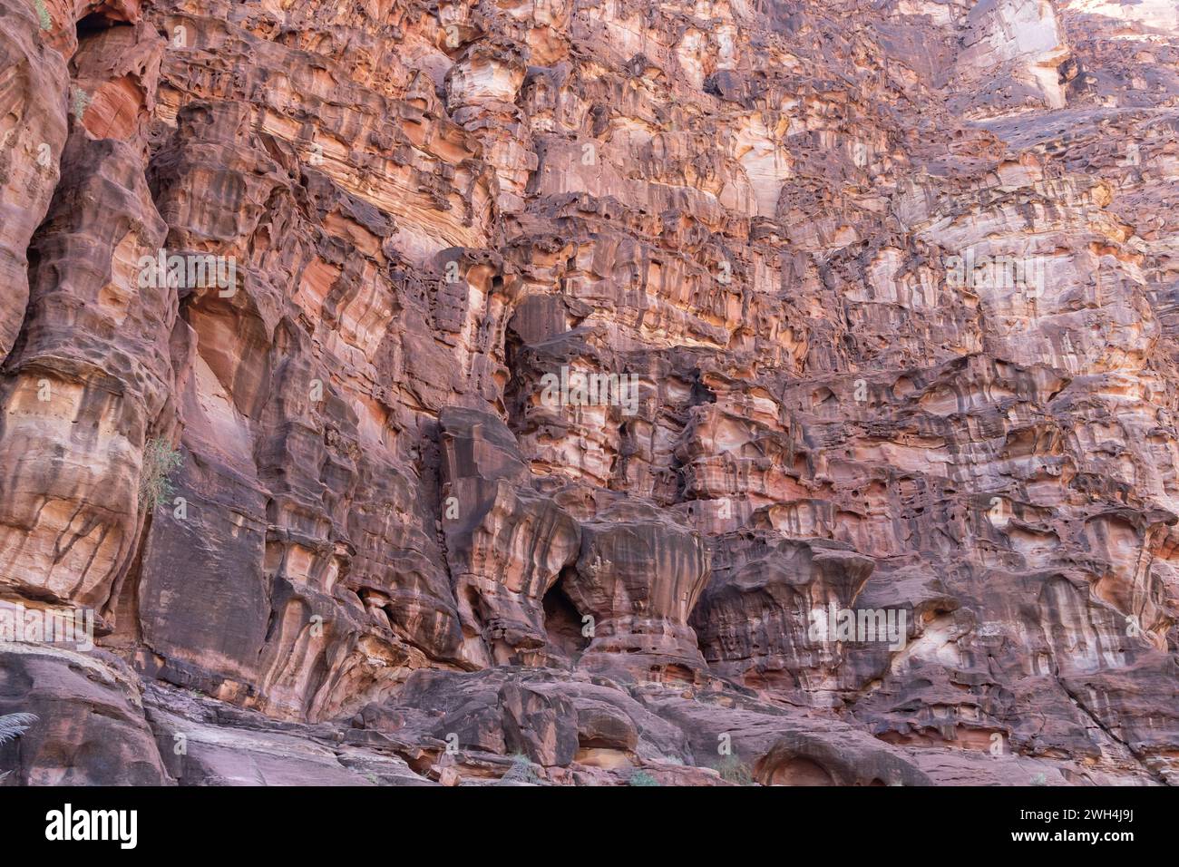 Middle East, Saudi Arabia,Tabuk, Wadi Al-Disha, Prince Mohammed bin ...