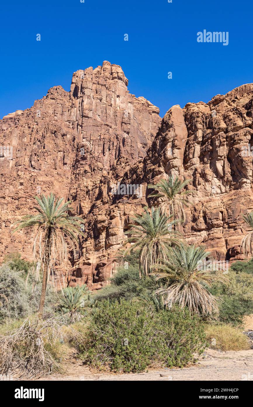 Middle East, Saudi Arabia,Tabuk, Wadi Al-Disha, Prince Mohammed bin ...