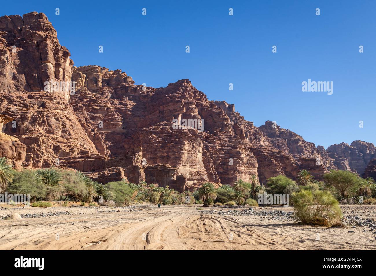 Middle East, Saudi Arabia,Tabuk, Wadi Al-Disha, Prince Mohammed bin ...