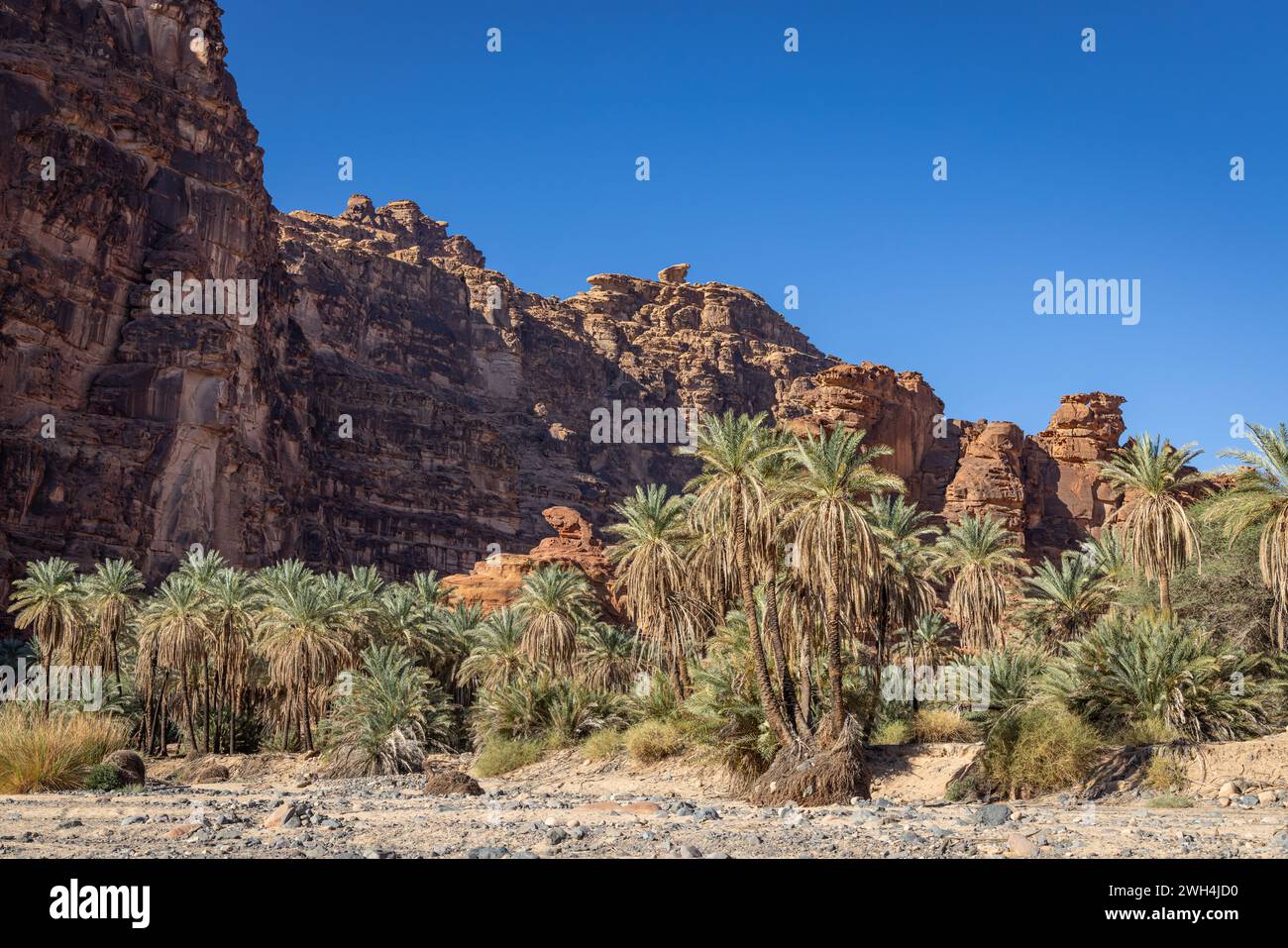 Middle East, Saudi Arabia,Tabuk, Wadi Al-Disha, Prince Mohammed bin ...