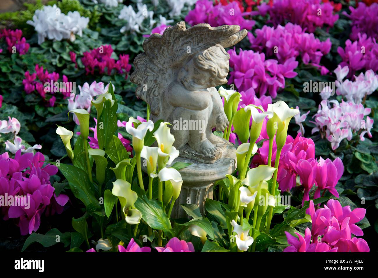 A sculpture with flowers surrounding in springtime Stock Photo - Alamy