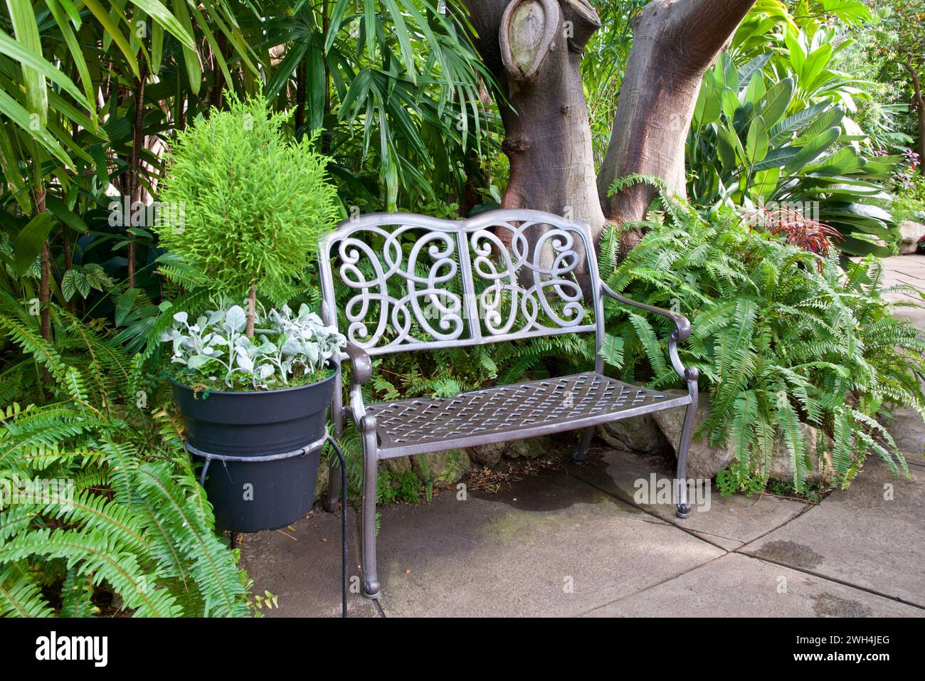 A park bench inside a conservatory, Toronto, Ontario, Canada Stock ...