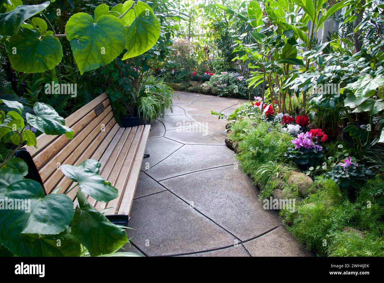 A park bench inside a conservatory Stock Photo - Alamy