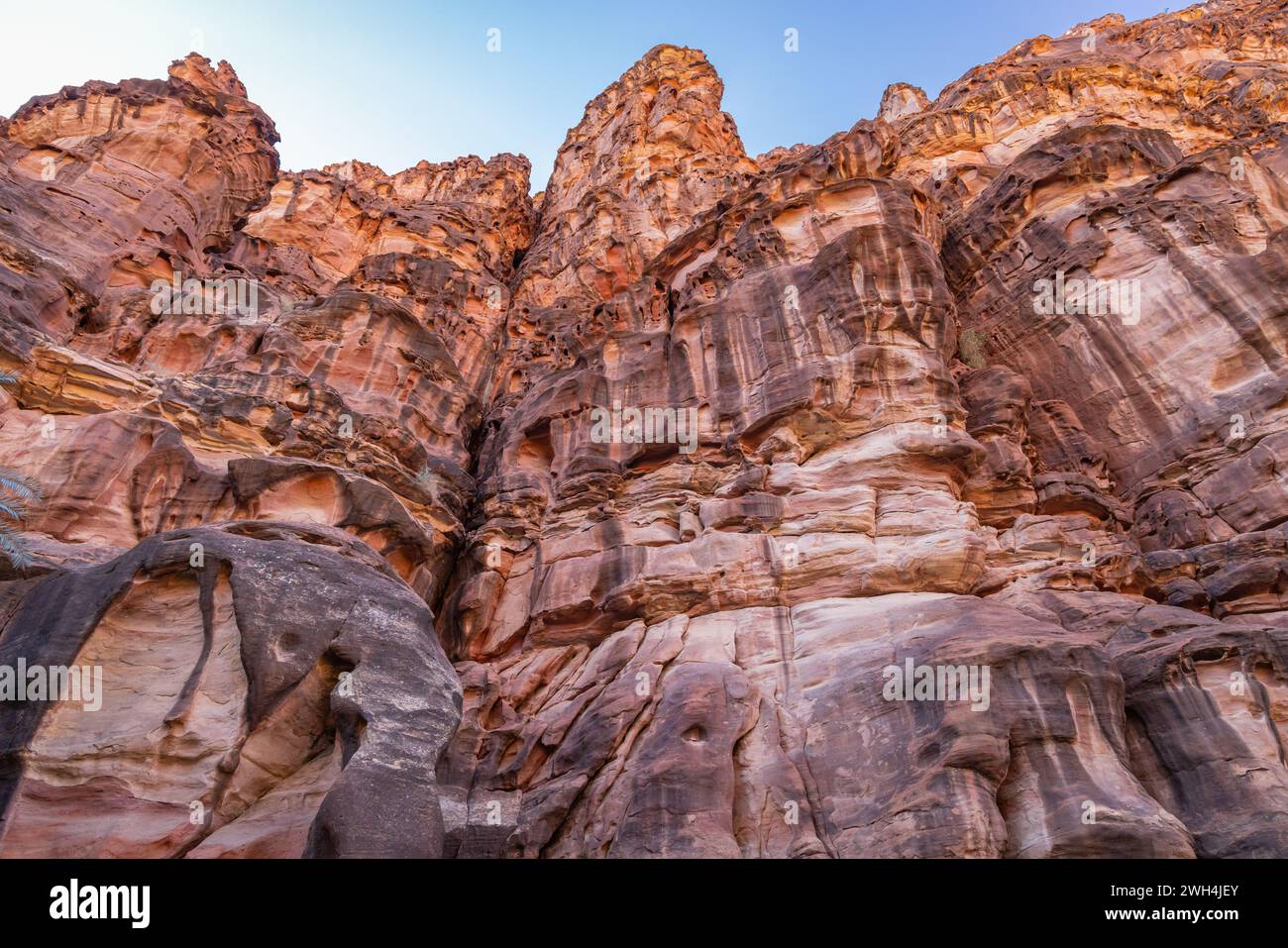 Middle East, Saudi Arabia,Tabuk, Wadi Al-Disha, Prince Mohammed bin ...