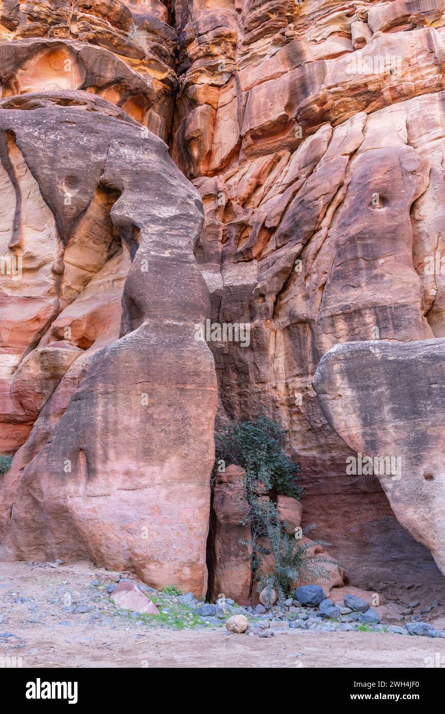 Middle East, Saudi Arabia,Tabuk, Wadi Al-Disha, Prince Mohammed bin ...