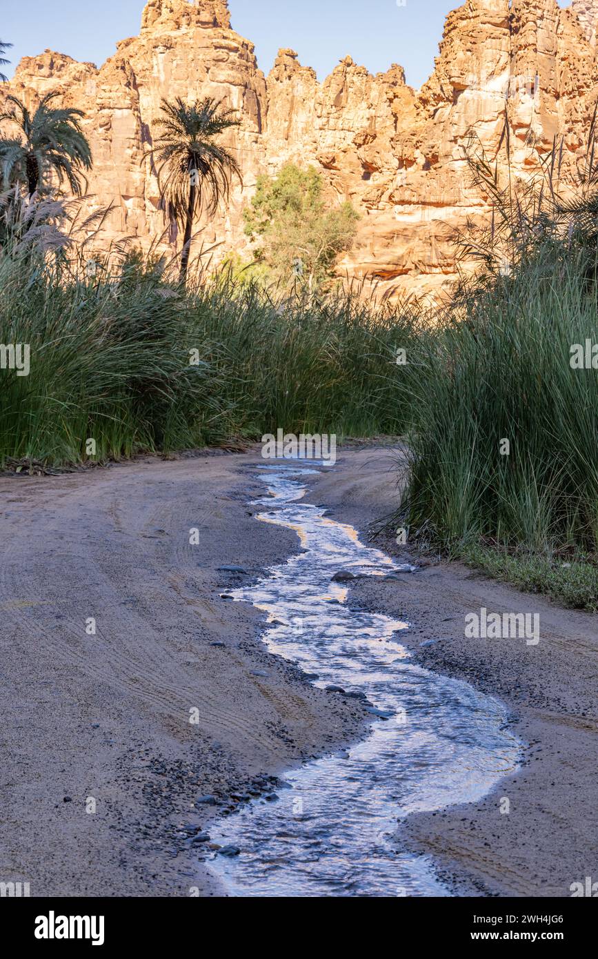 Middle East, Saudi Arabia,Tabuk, Wadi Al-Disha, Prince Mohammed bin ...