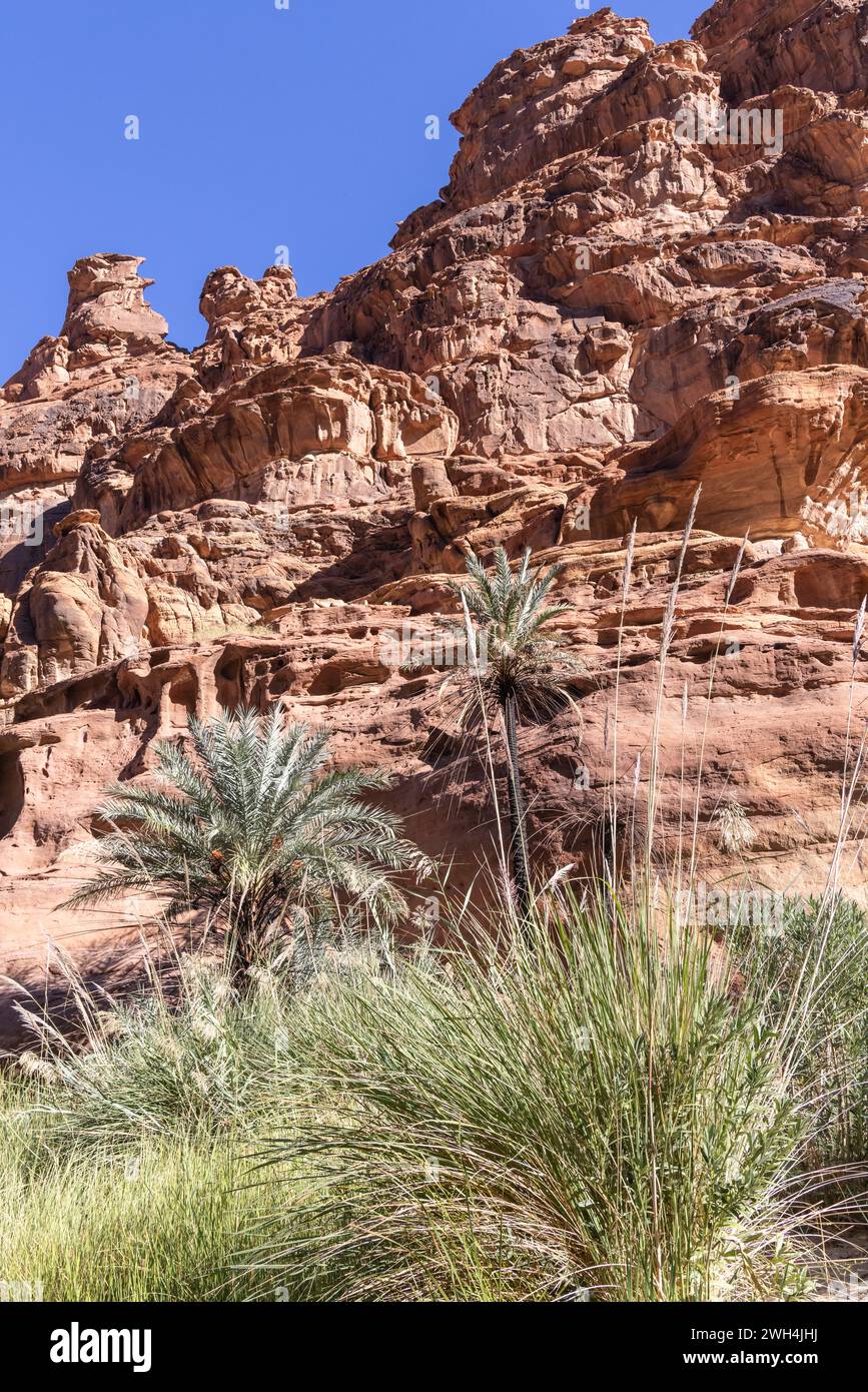 Middle East, Saudi Arabia,Tabuk, Wadi Al-Disha, Prince Mohammed bin ...