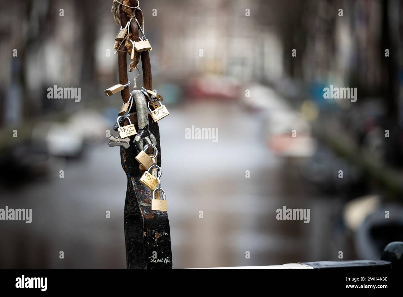 Amsterdam is the capital city of The Netherlands, known for its rich ...