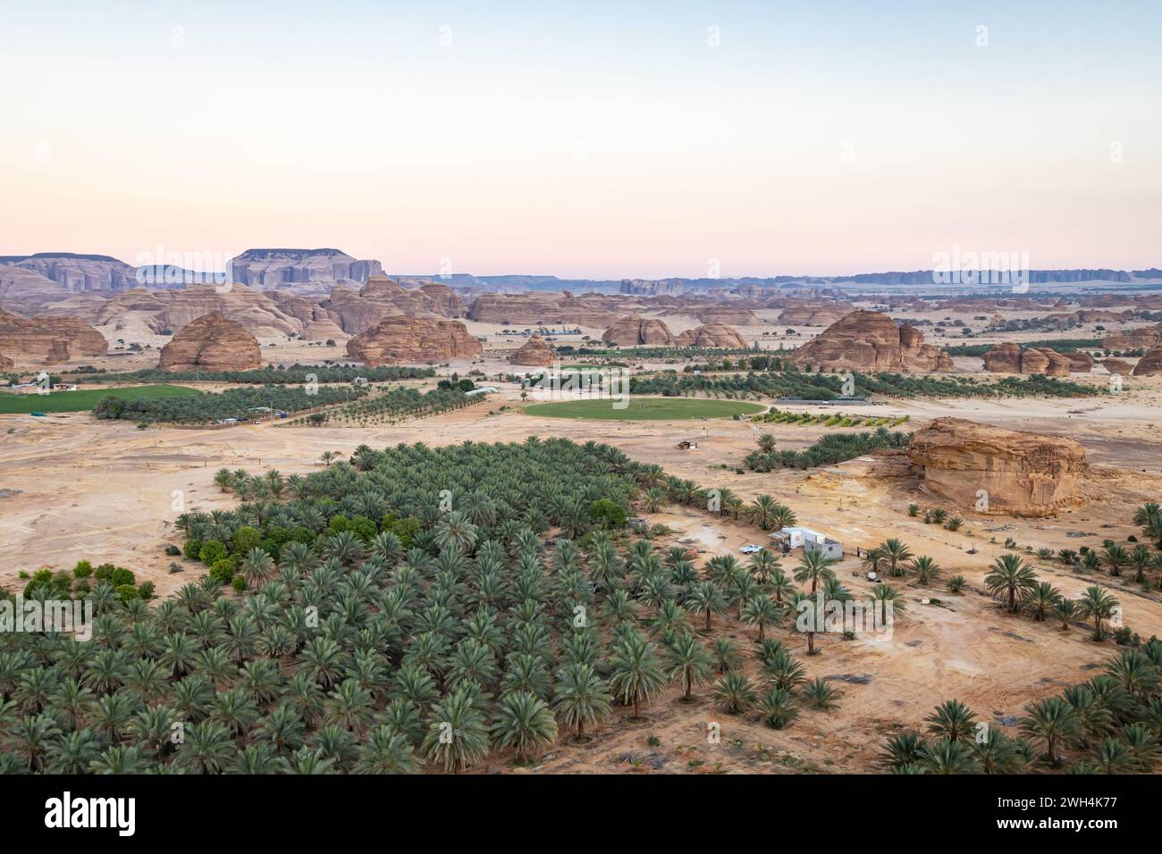 Middle East, Saudi Arabia, Medina, Al-Ula. Date palm farm in the Saudi ...