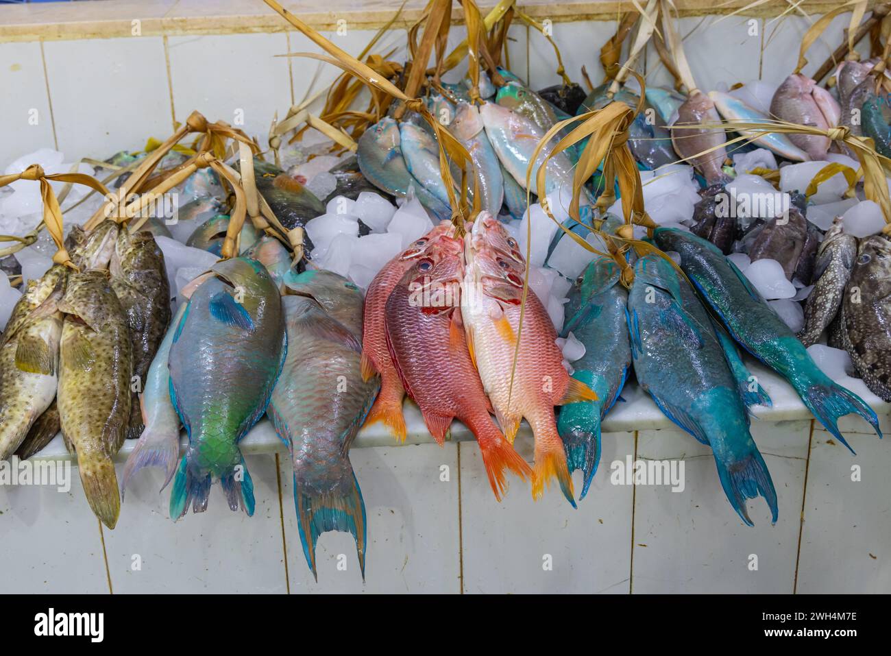 Middle East, Saudi Arabia, Madinah Province, Medina. Colorful fresh ...