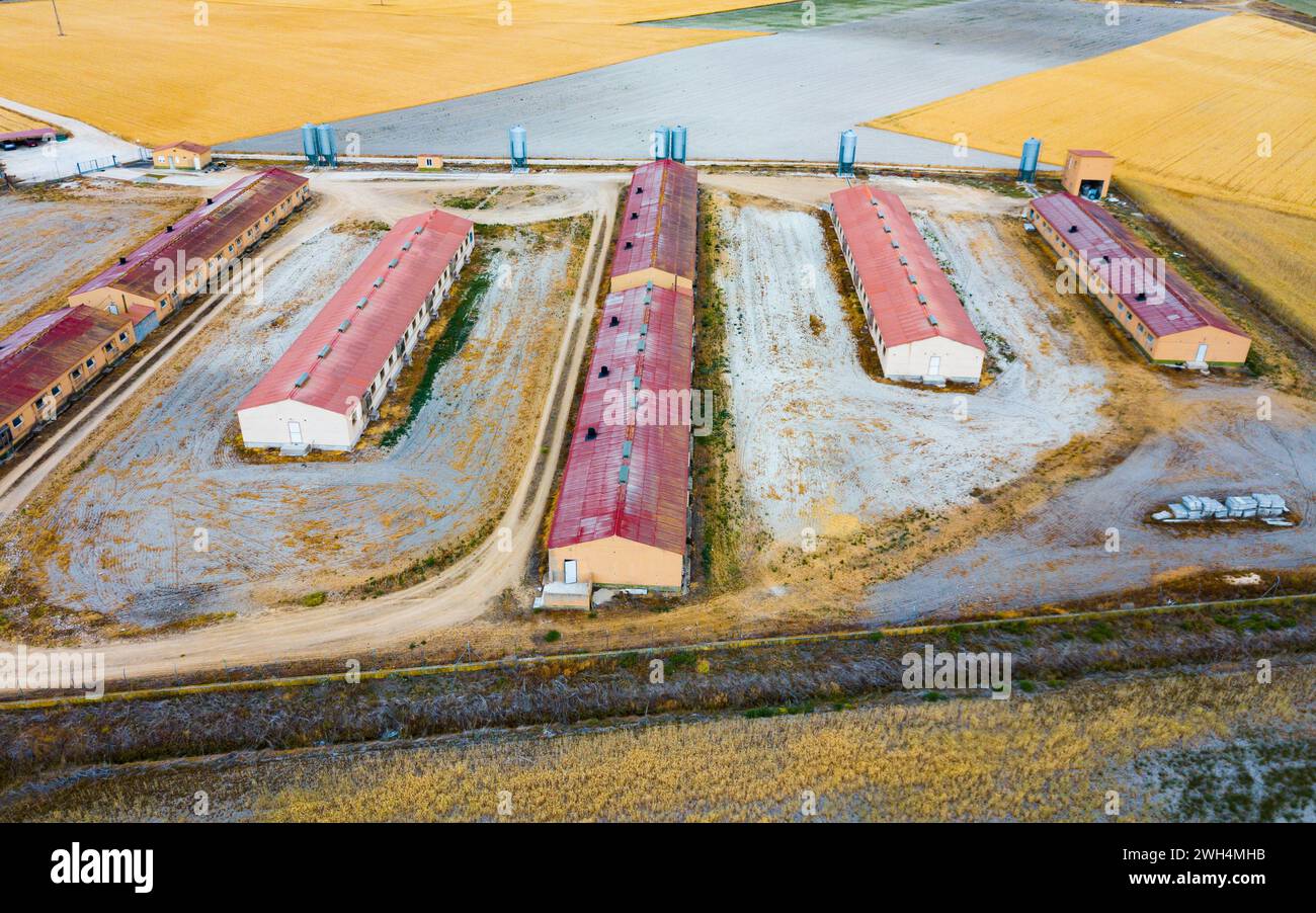 Aerial view of modern pig farm Stock Photo - Alamy