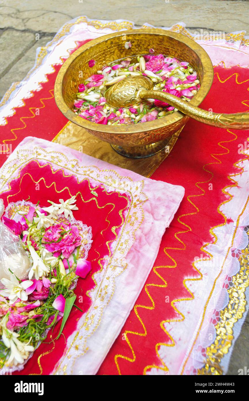 Tigan hi-res stock photography and images - Alamy