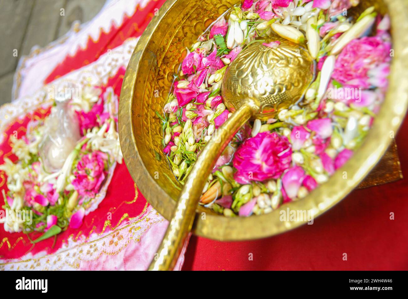 Tigan hi-res stock photography and images - Alamy