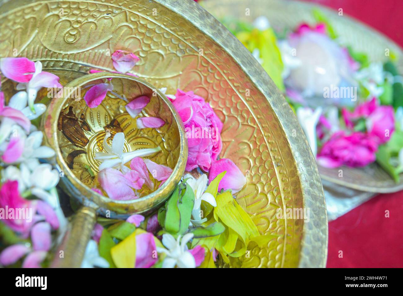 Tigan hi-res stock photography and images - Alamy