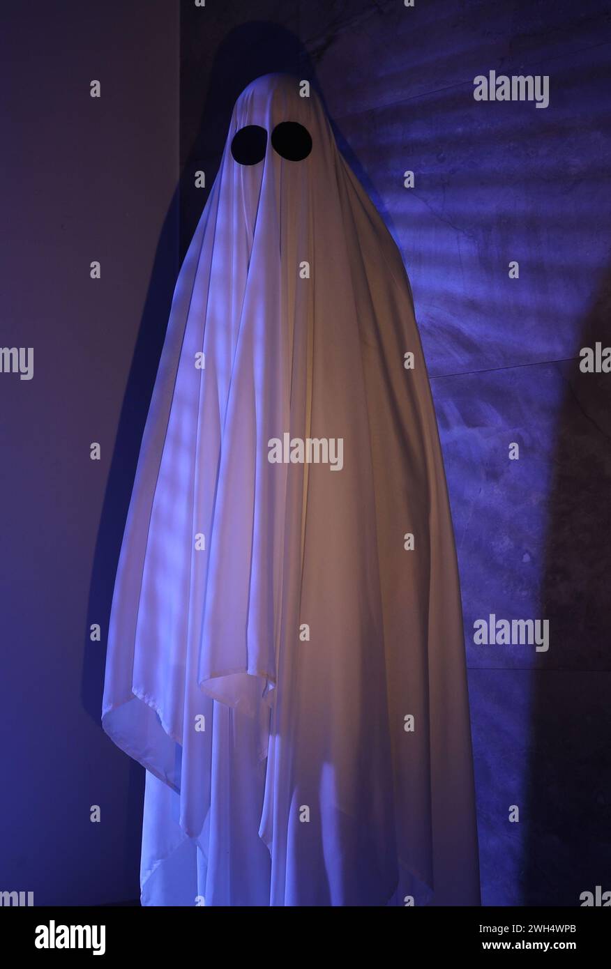 Creepy ghost. Woman covered with sheet in color lights Stock Photo - Alamy
