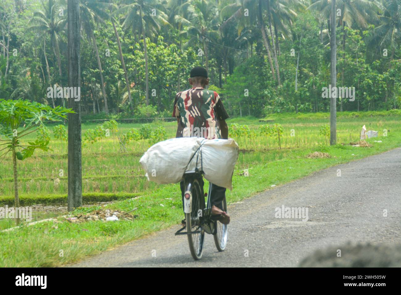 scene a man pedaling his bicycle and carrying a sack of grass to bring ...