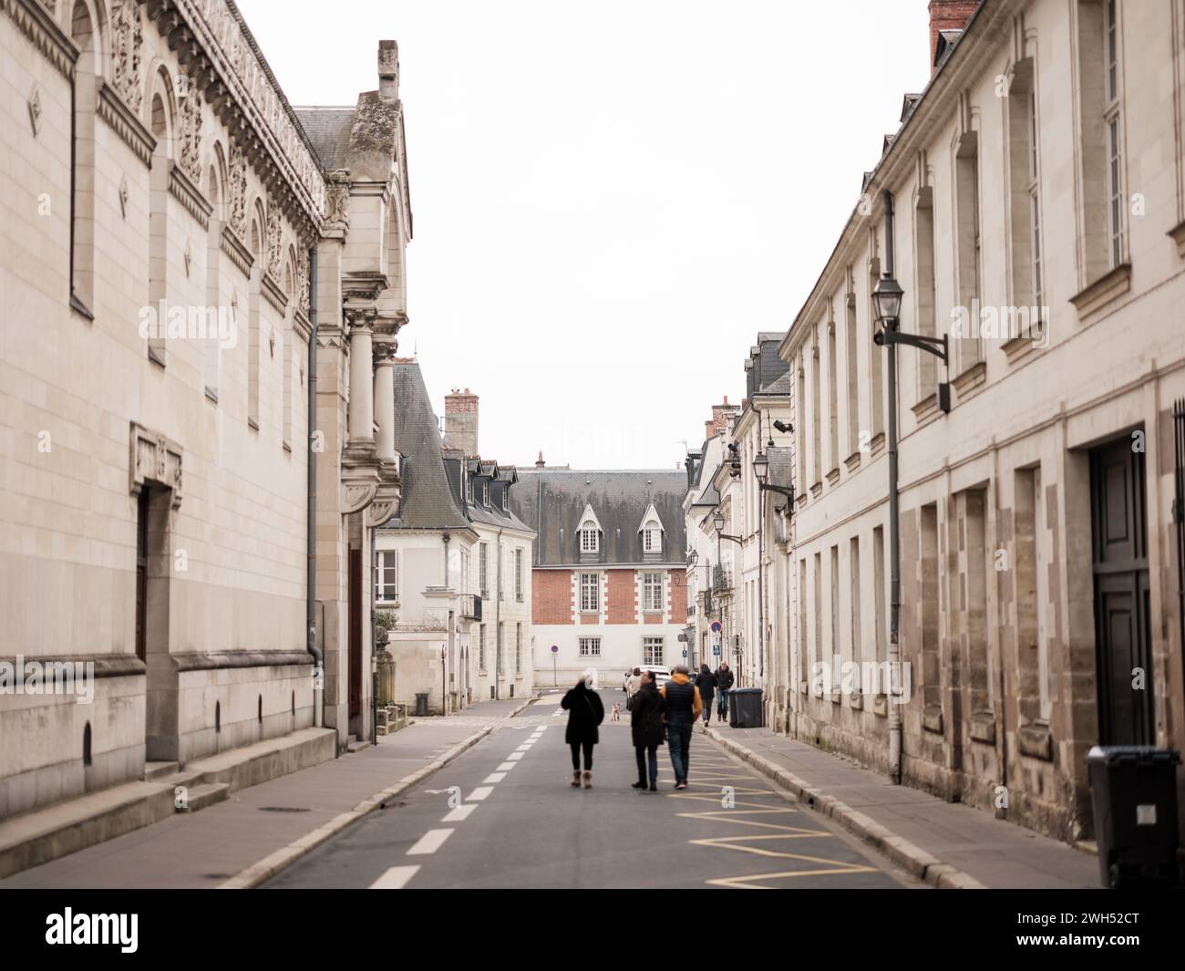 Located in the Loire Valley, Tours is renowned for its history ...