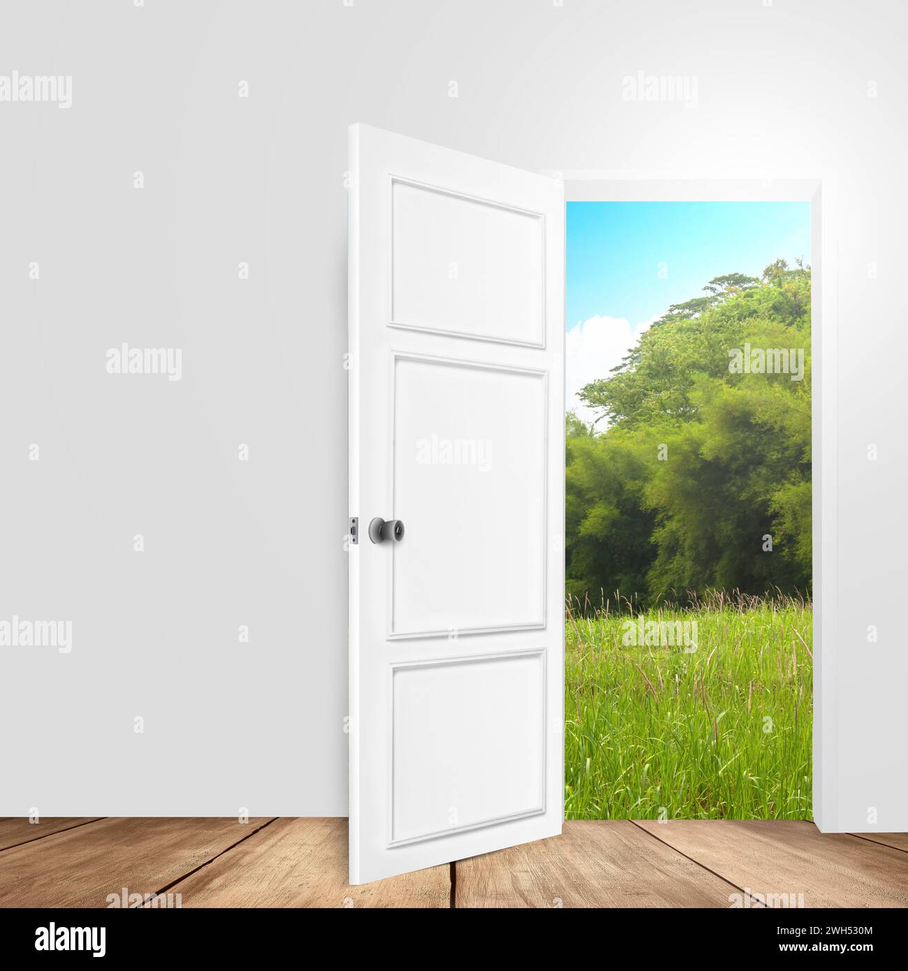 Opened door with an outdoor view. Leave the comfort zone. Concept of ...